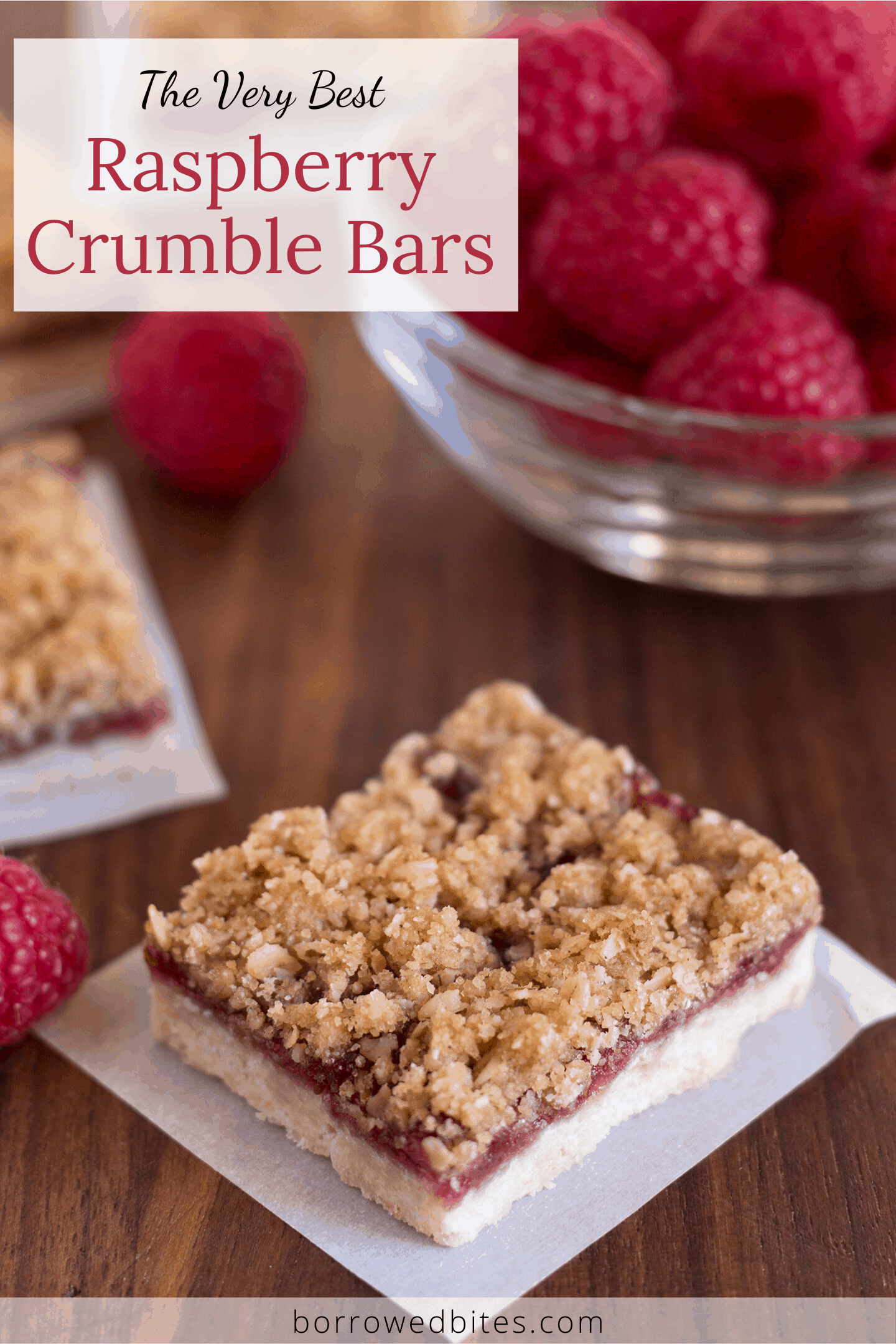 Amazing Oatmeal Raspberry Bars (Easy!) - Borrowed Bites