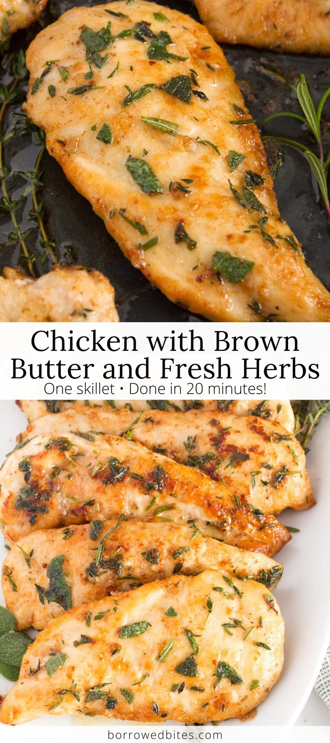 Skillet Chicken with Brown Butter and Fresh Herbs - Borrowed Bites