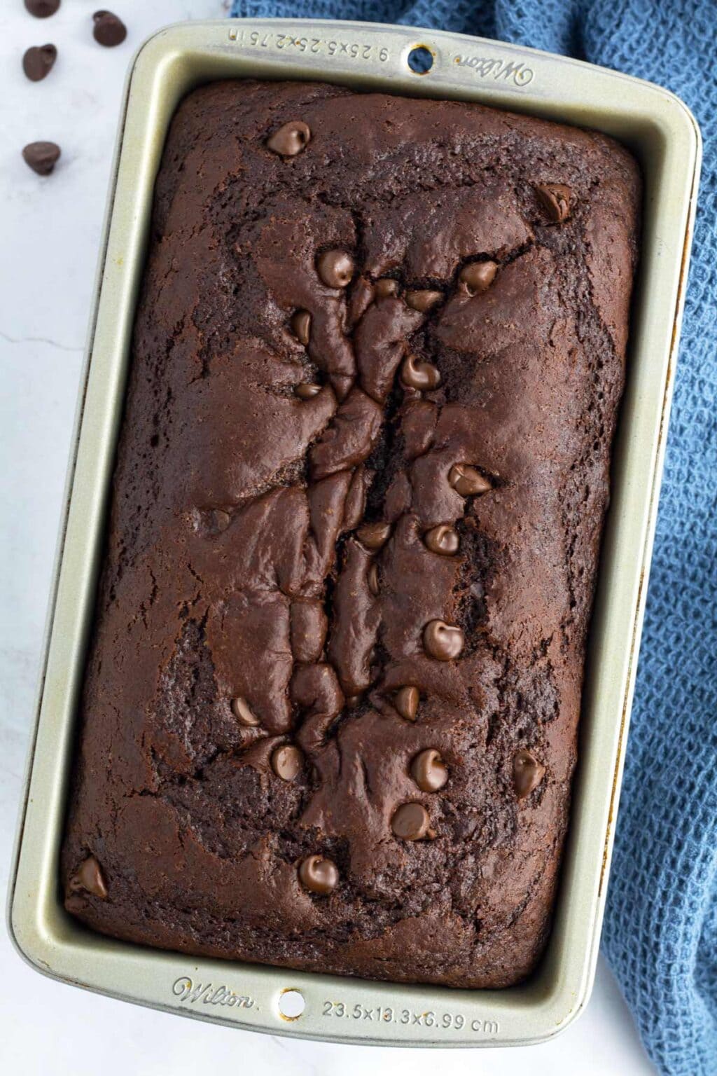 TRIPLE Chocolate Bread - Borrowed Bites