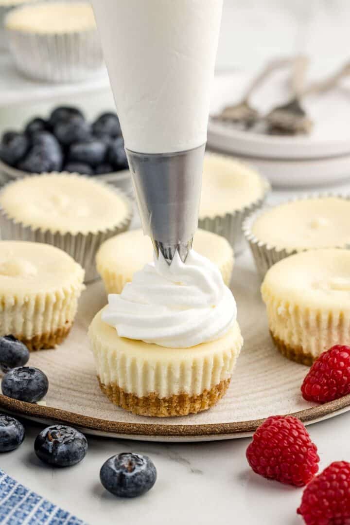 Mini Cheesecakes Recipe (in Muffin Pan!) - Borrowed Bites