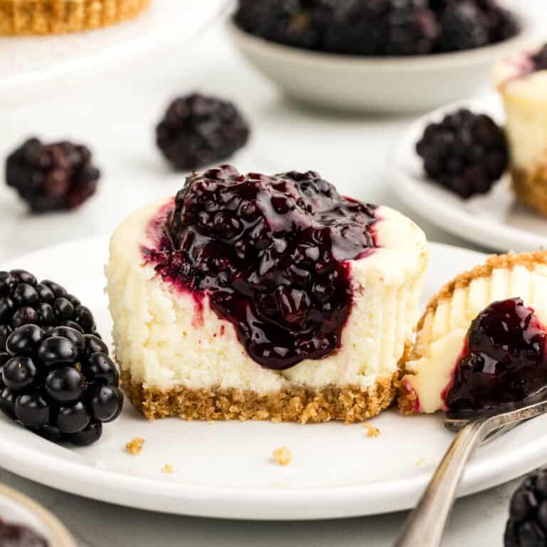 The BEST Philadelphia Cheesecake Bars (Snack Bars) - Borrowed Bites