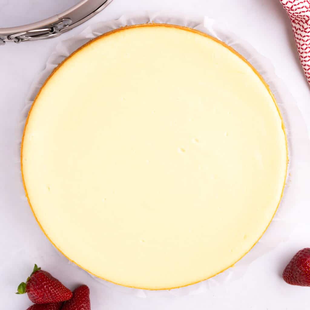How To Swirl A Cheesecake - Borrowed Bites